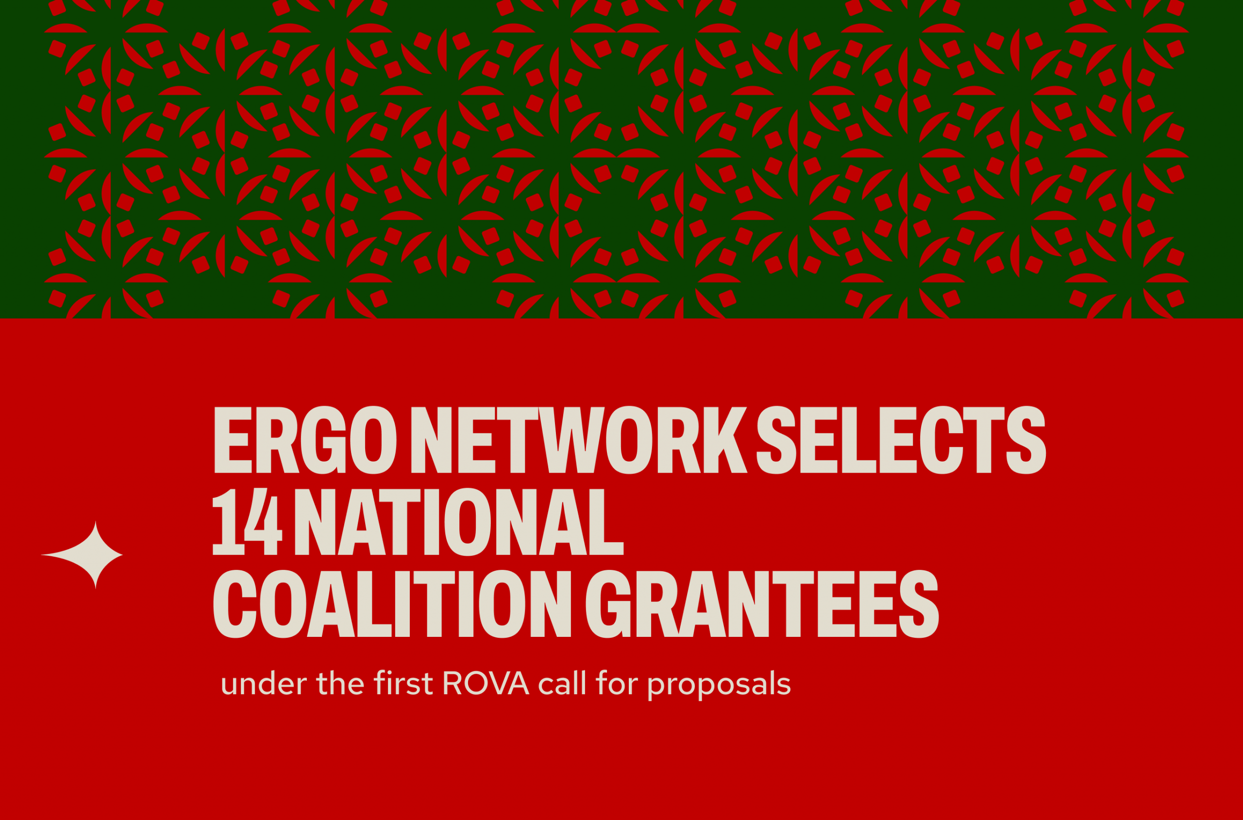 ERGO Network selects 14 national coalition grantees under the first ...